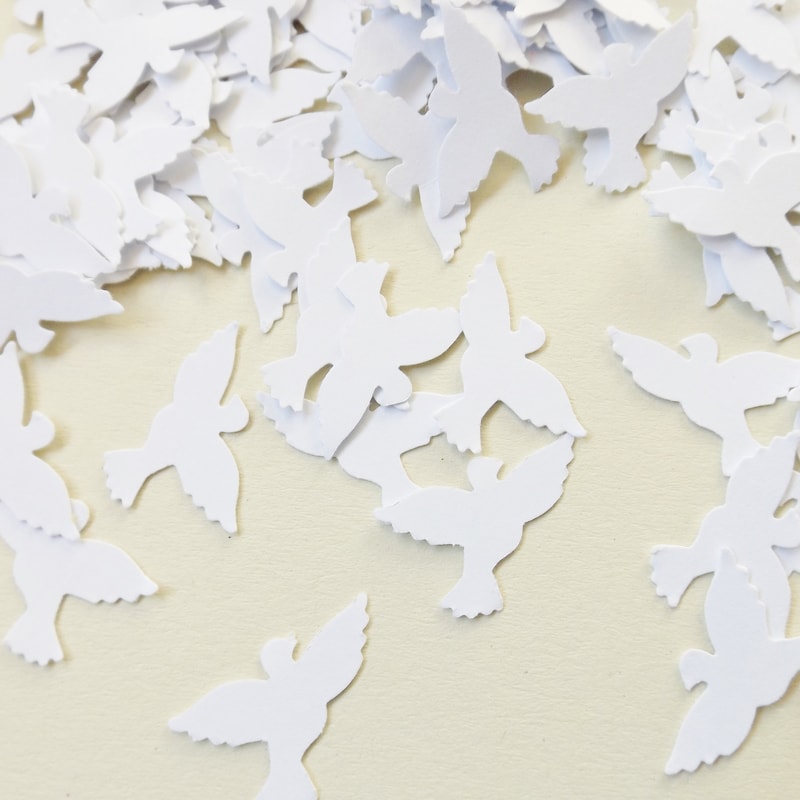 Bird Confetti - Etsy