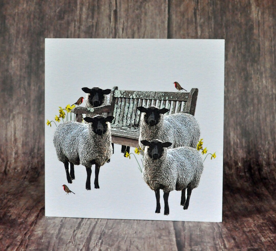 Fun Sheep Card Birthday Card Sheep Card Free Postage Chase - Etsy