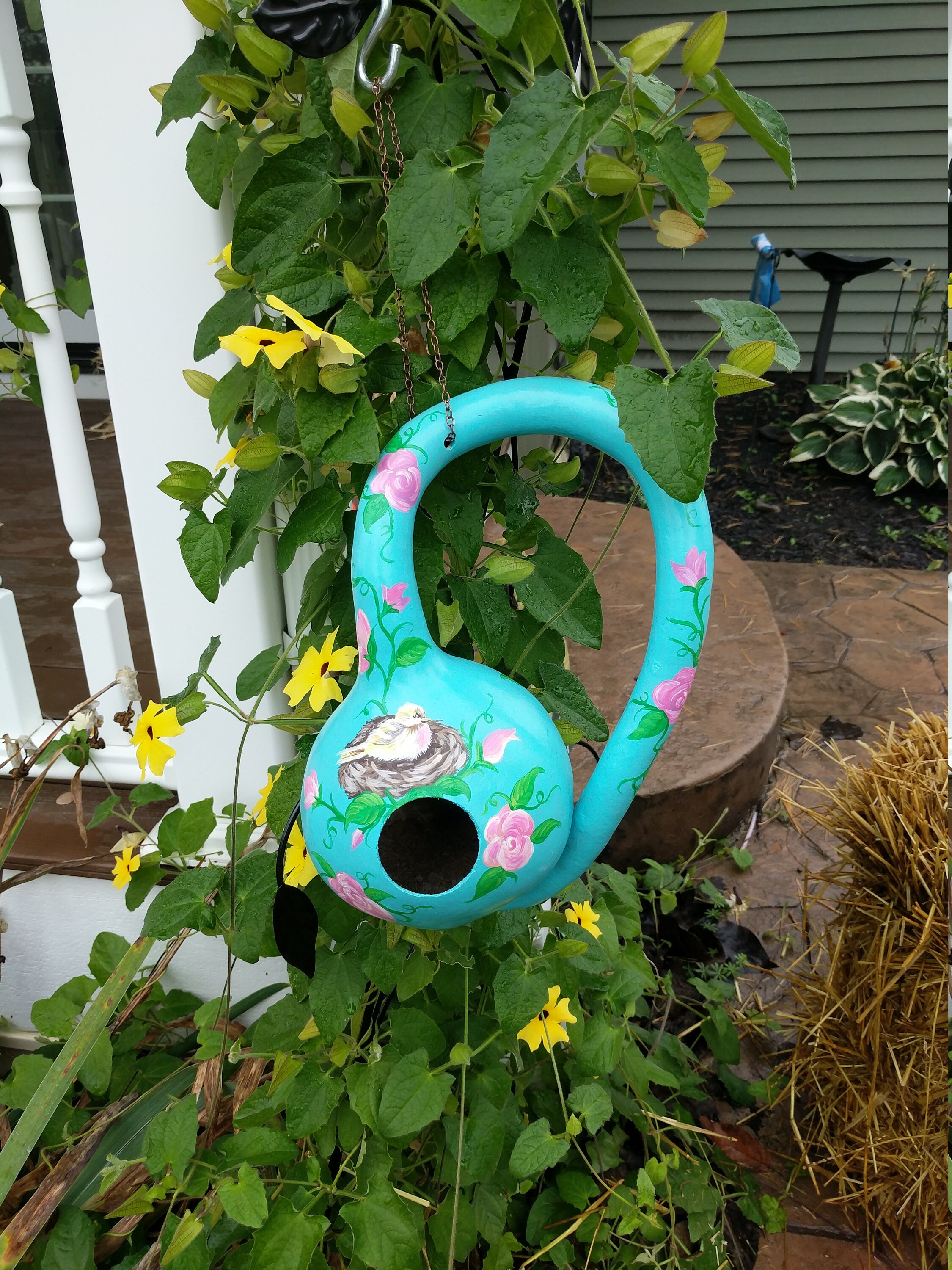 Twisted Gourd Birdhouse With a Nesting Yellow Bird and Pink Roses - Etsy