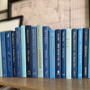 Blue Book Stack, Blue Books for Home Decor, Books by Color, Books Home ...