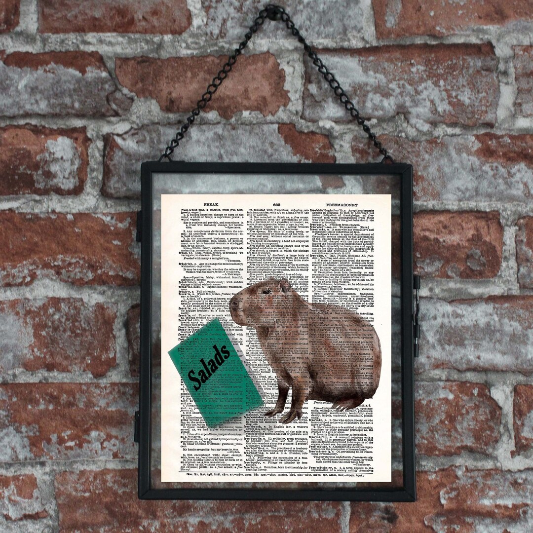 Capybara Book Art Dictionary Art Artwork - Etsy