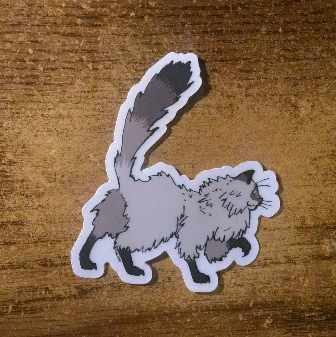 Squee Cute Fluffy Cat Vinyl Sticker With Clear Background - Etsy