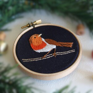 Robin Mini Embroidery Kit for Beginner Embroidery Kit for Gift for ...