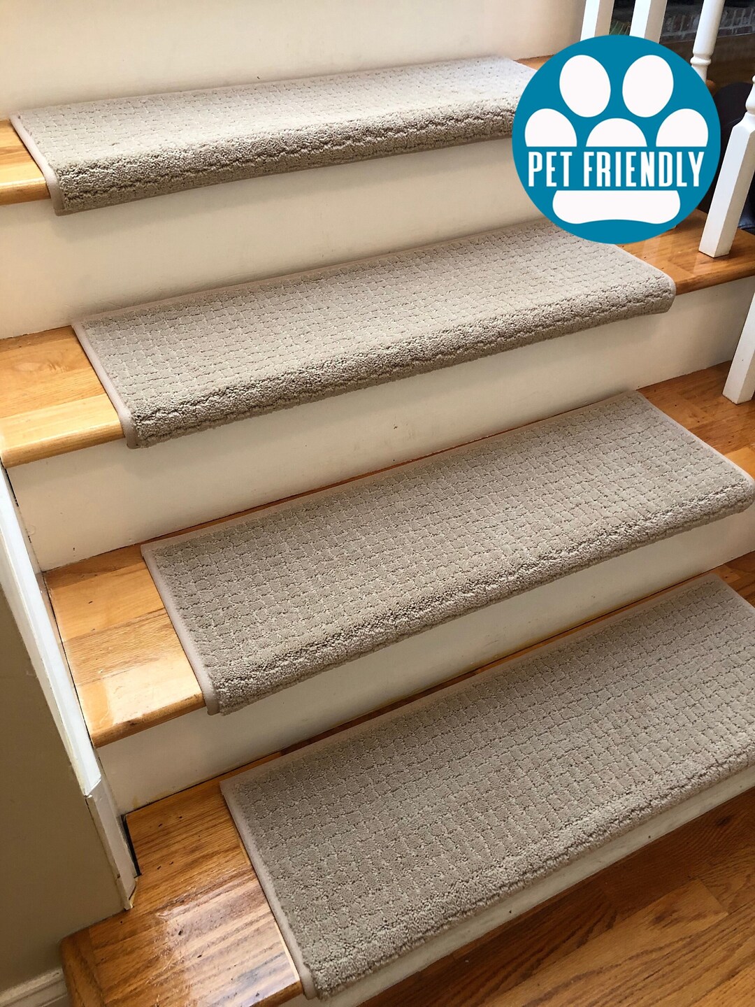 Pawstruck Toffee Cream (plus Other Colors) Pet Friendly True Bullnose ...