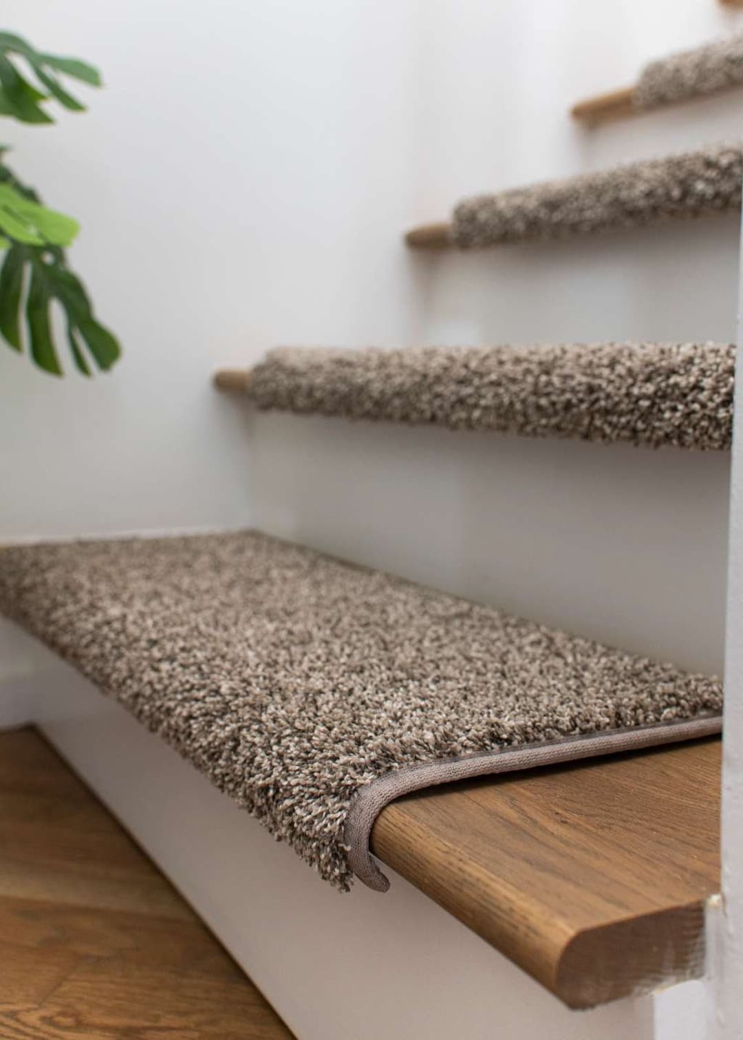 Dream on Buff True Bullnose® Padded Carpet Stair Treads Runner ...