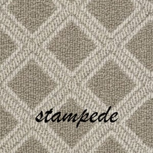 Scout Stampede Pet Friendly True Bullnose® Padded Carpet Stair Tread ...