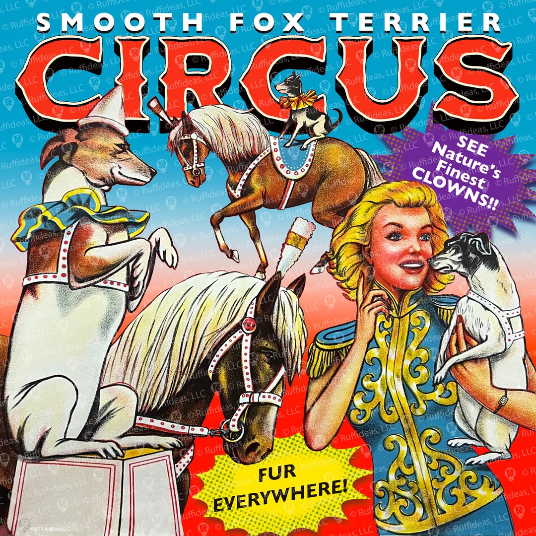 Smooth Fox Terrier Circus Square Wall Art Foam Portrait Poster ...