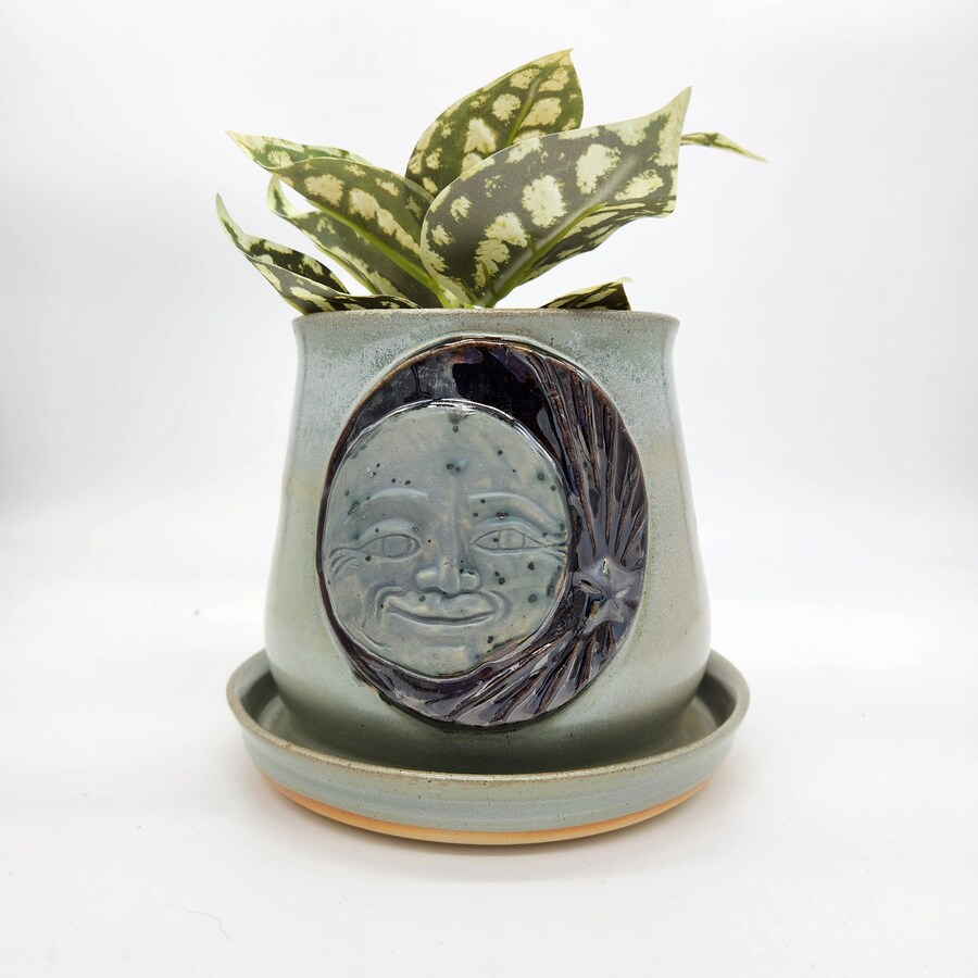 MaddyMadePottery - Etsy