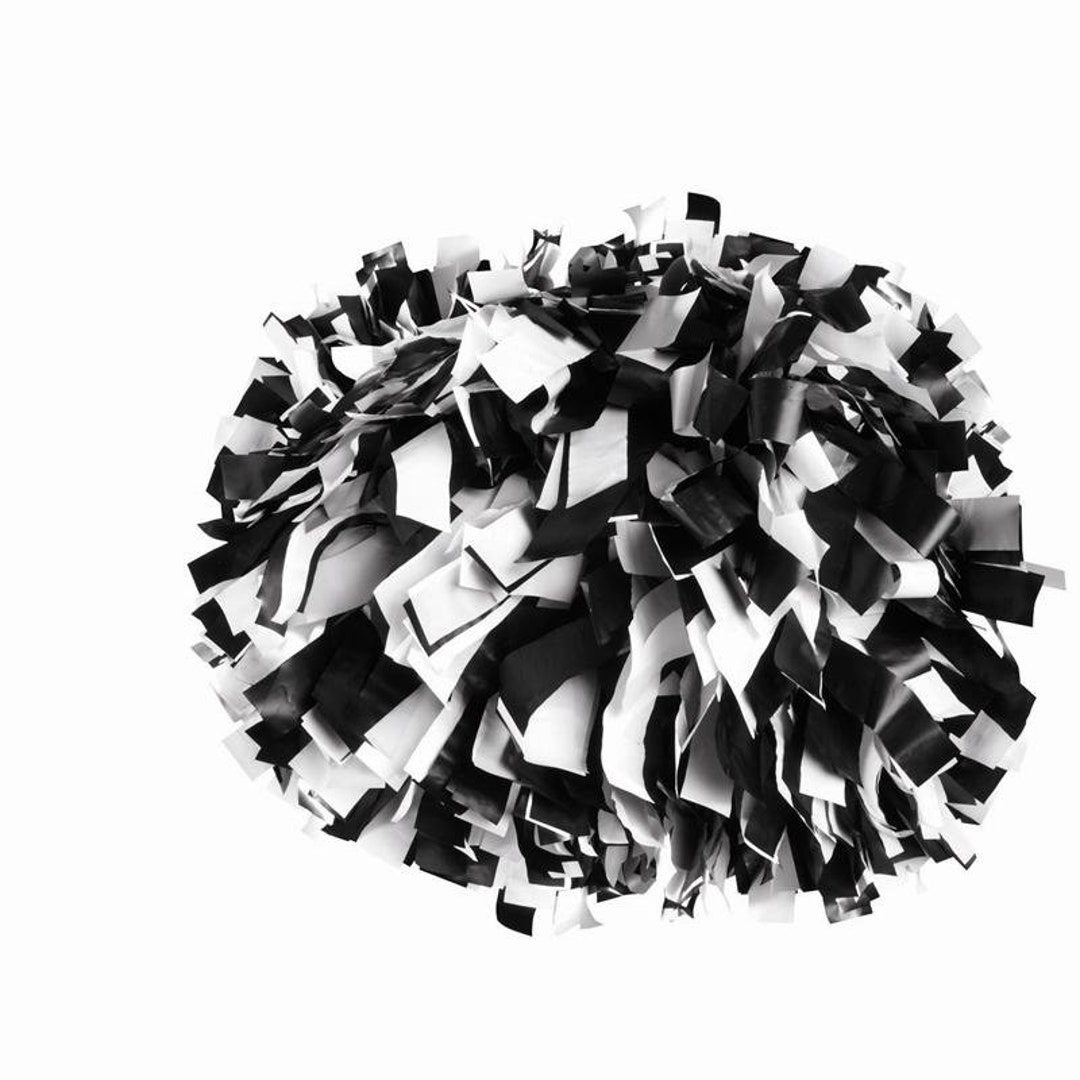 Cheerleader Spirit Pom , Girls Cheer Pom Poms, School Spirit, Pom Poms ...