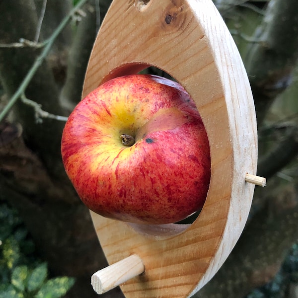 Apple Feeder for Birds - Etsy UK