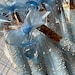 Blue Chocolate Dipped Pretzels With Pacifier, Baby Boy Shower Favors ...