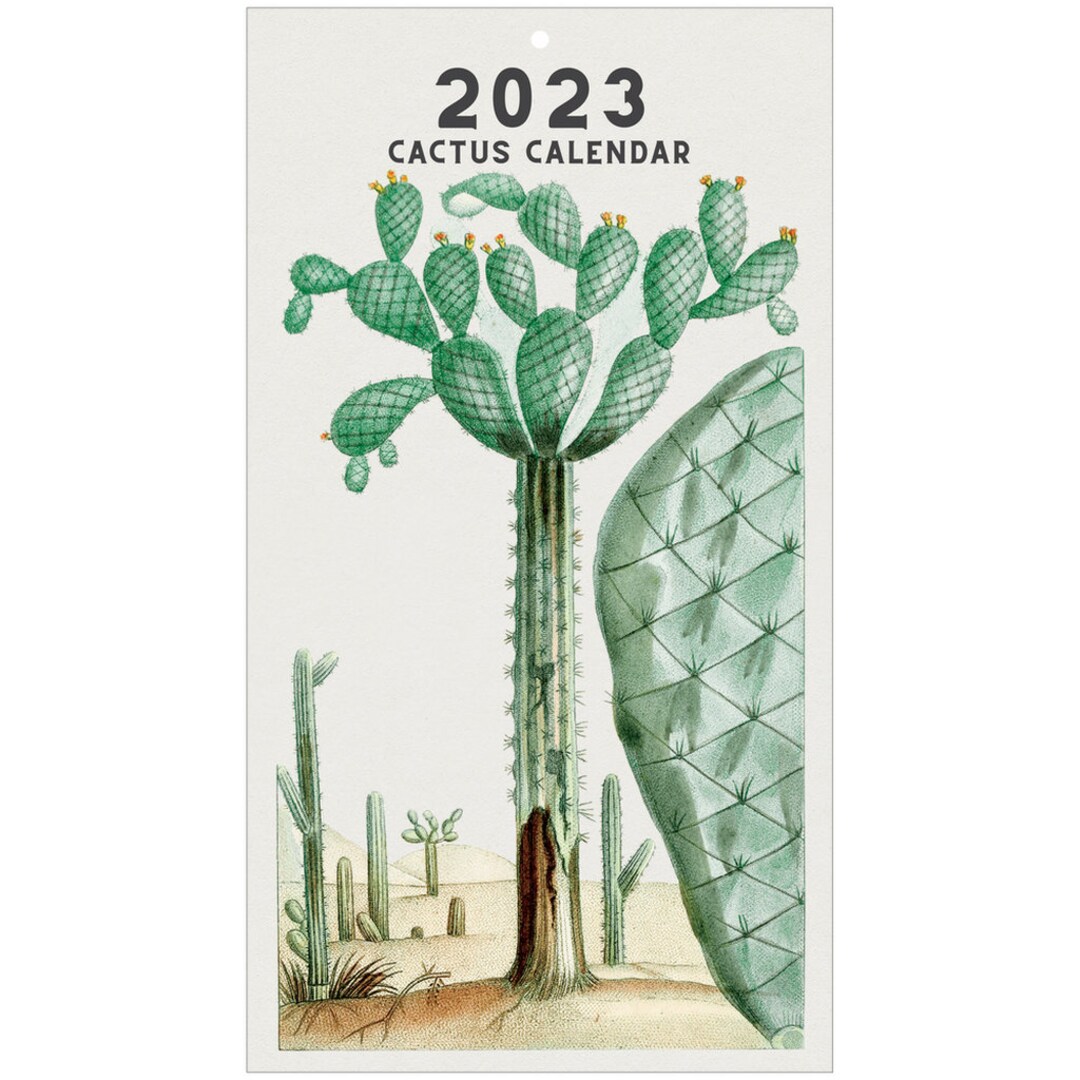 2024 Cactus Calendar - Etsy