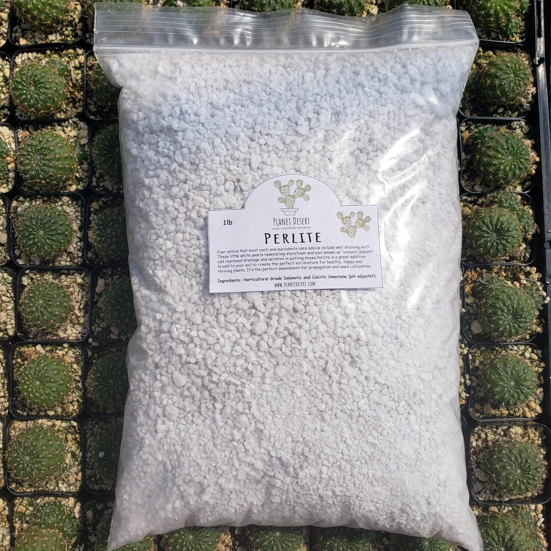 Perlite 4 Quarts Porosity Soil Amendment for Cactus and Succulents - Etsy