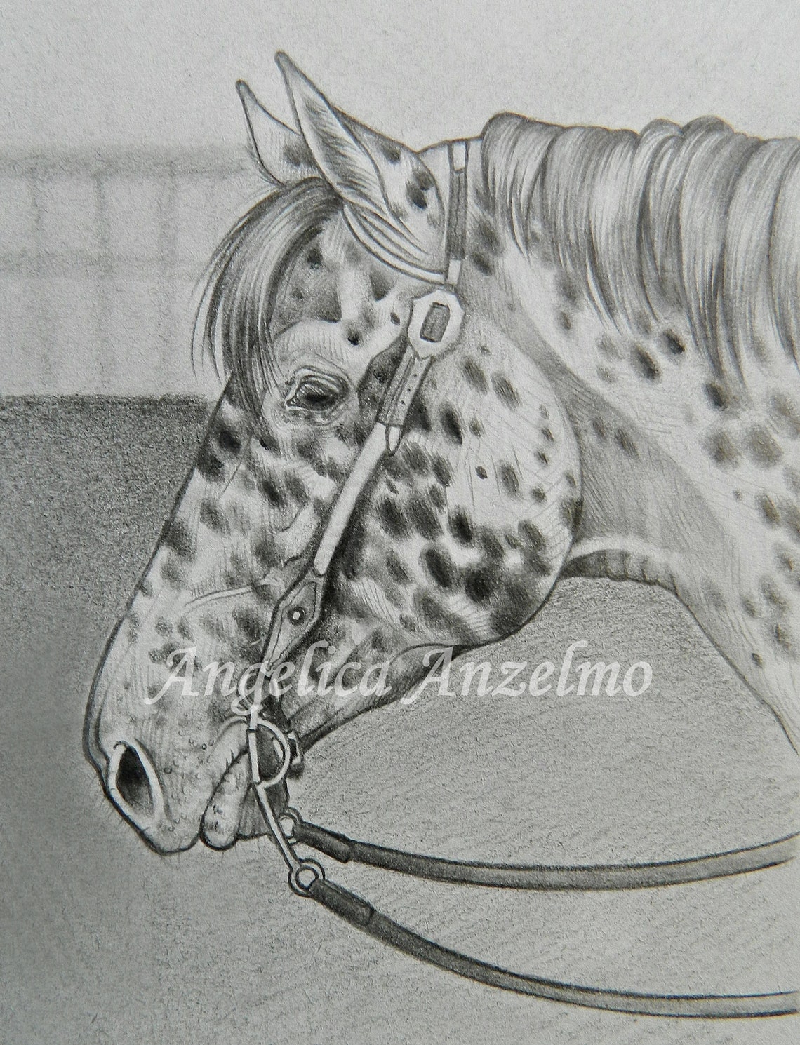Appaloosa Horse Giclee Art Print Western Drawing | Etsy