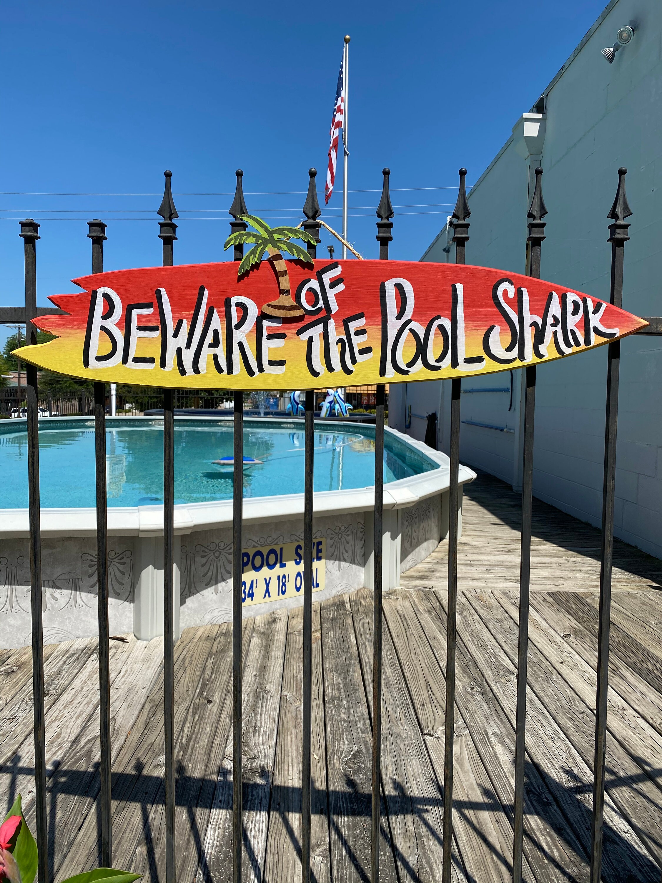 Michael Godard Pool Shark for sale| 33 ads for used Michael Godard Pool ...