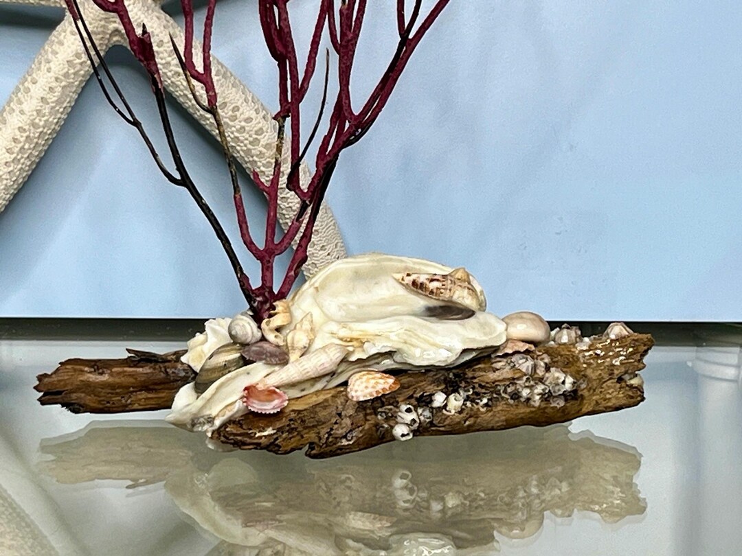 Red Coral Reef Resin Centerpiece - Natural Coral Sea Whip Seashells ...