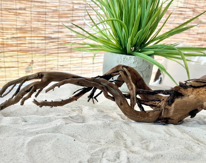 Natural Driftwood Branch Coastal Beach Home Decor Finished Drift Wood ...