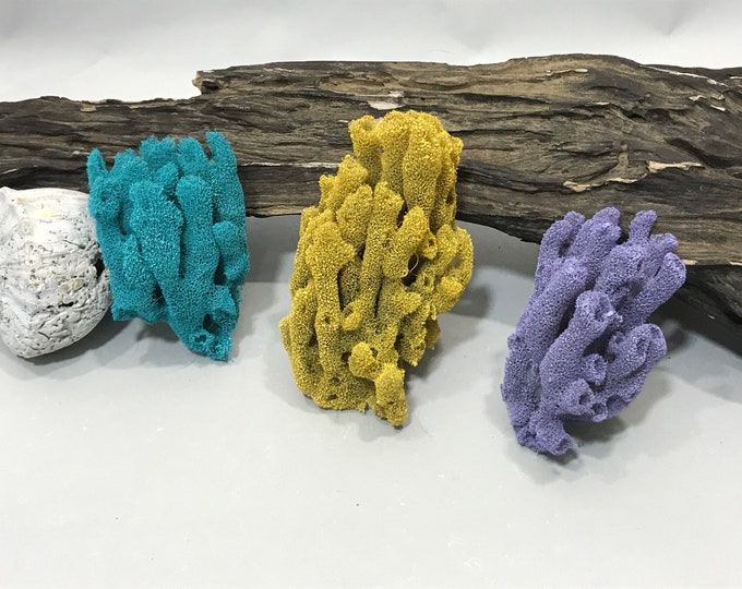 Colorful Sea Sponge Decor Coral Reef Decor Terrarium Decor Beach Decor ...