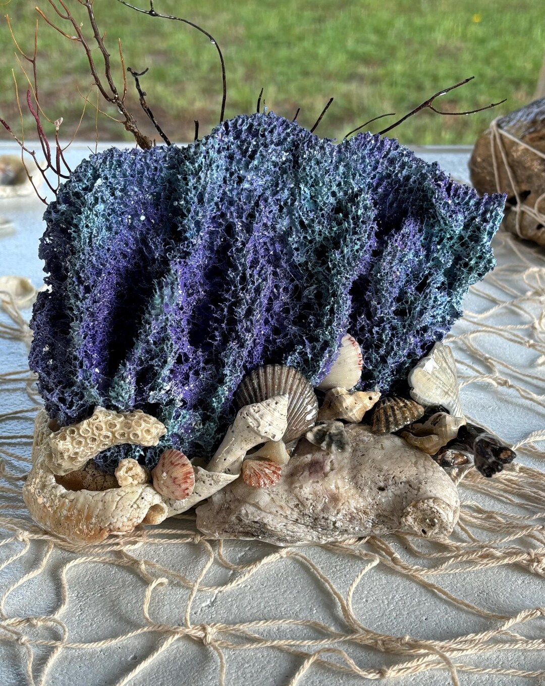 Decorative Purple Coral Beach Centerpiece Natural Coral Seashell ...