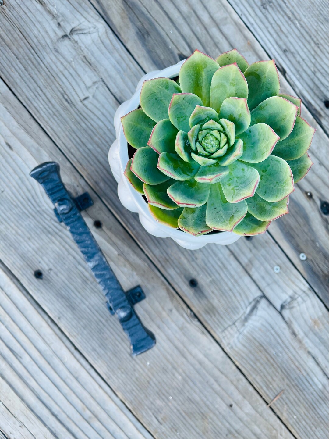 9 Inch Hammered Barn Pulls, Handles, Gate Handle, Farmhouse Handles ...