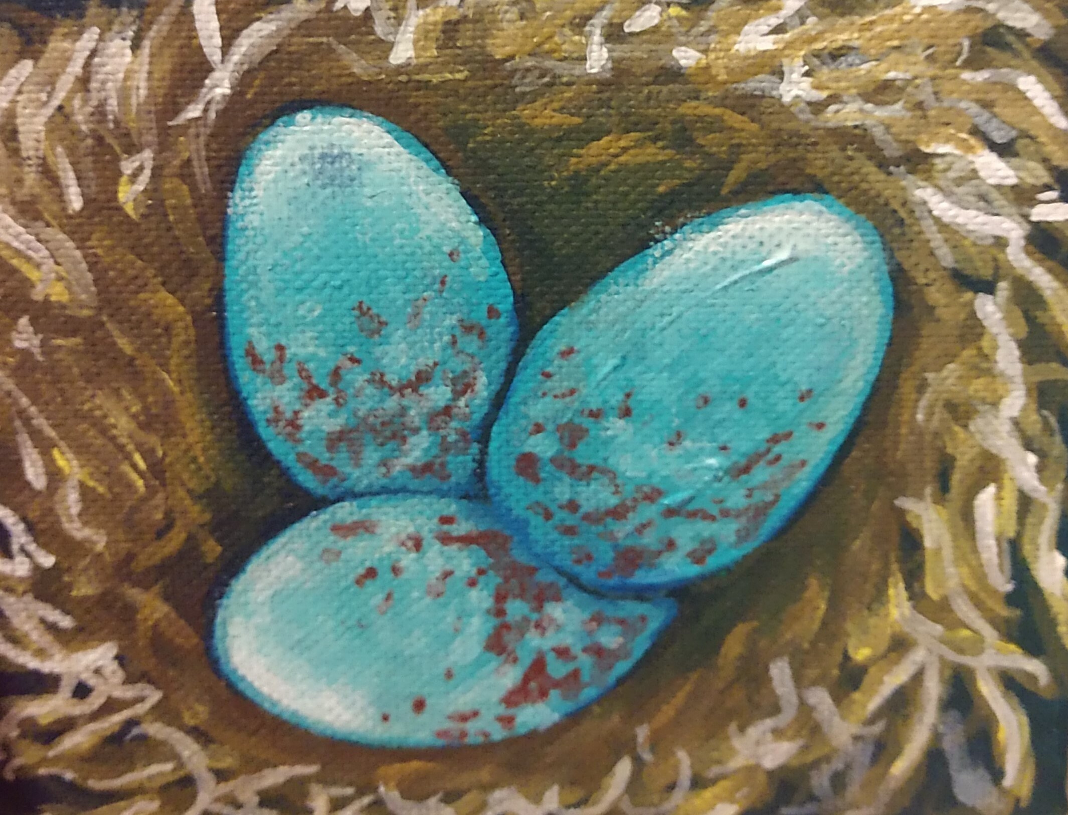 Birds Nest Wall Art, Junco Eggs Wall Art, Birds Nest and Eggs, Birds ...