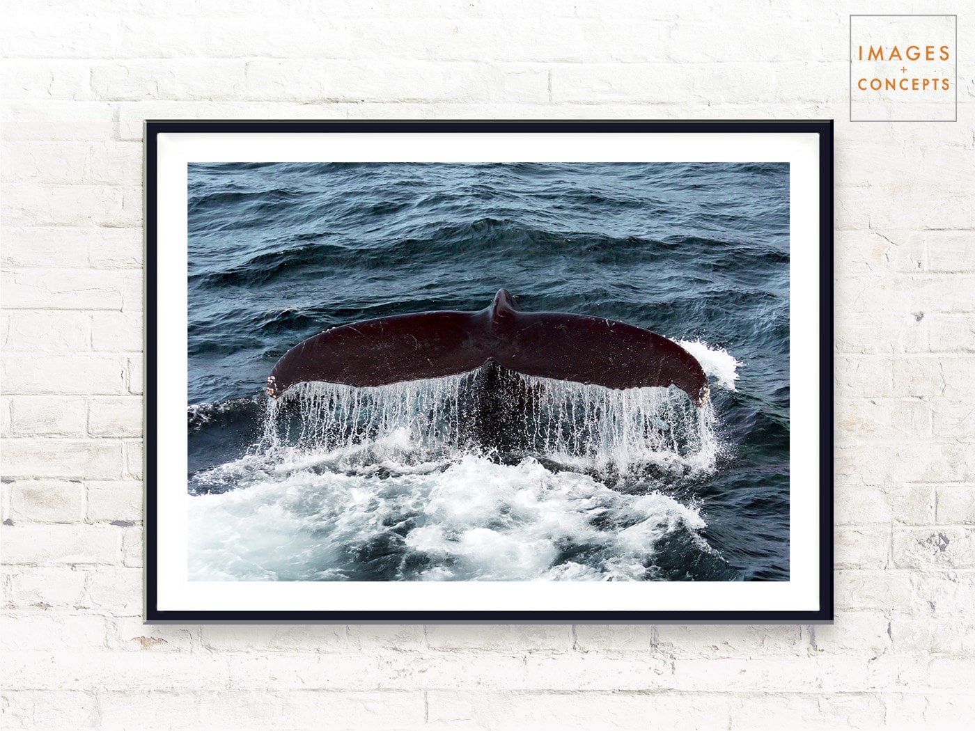 Whale Print ~ Whale Wall Art ~ Nature Print ~ Ocean Photography ...