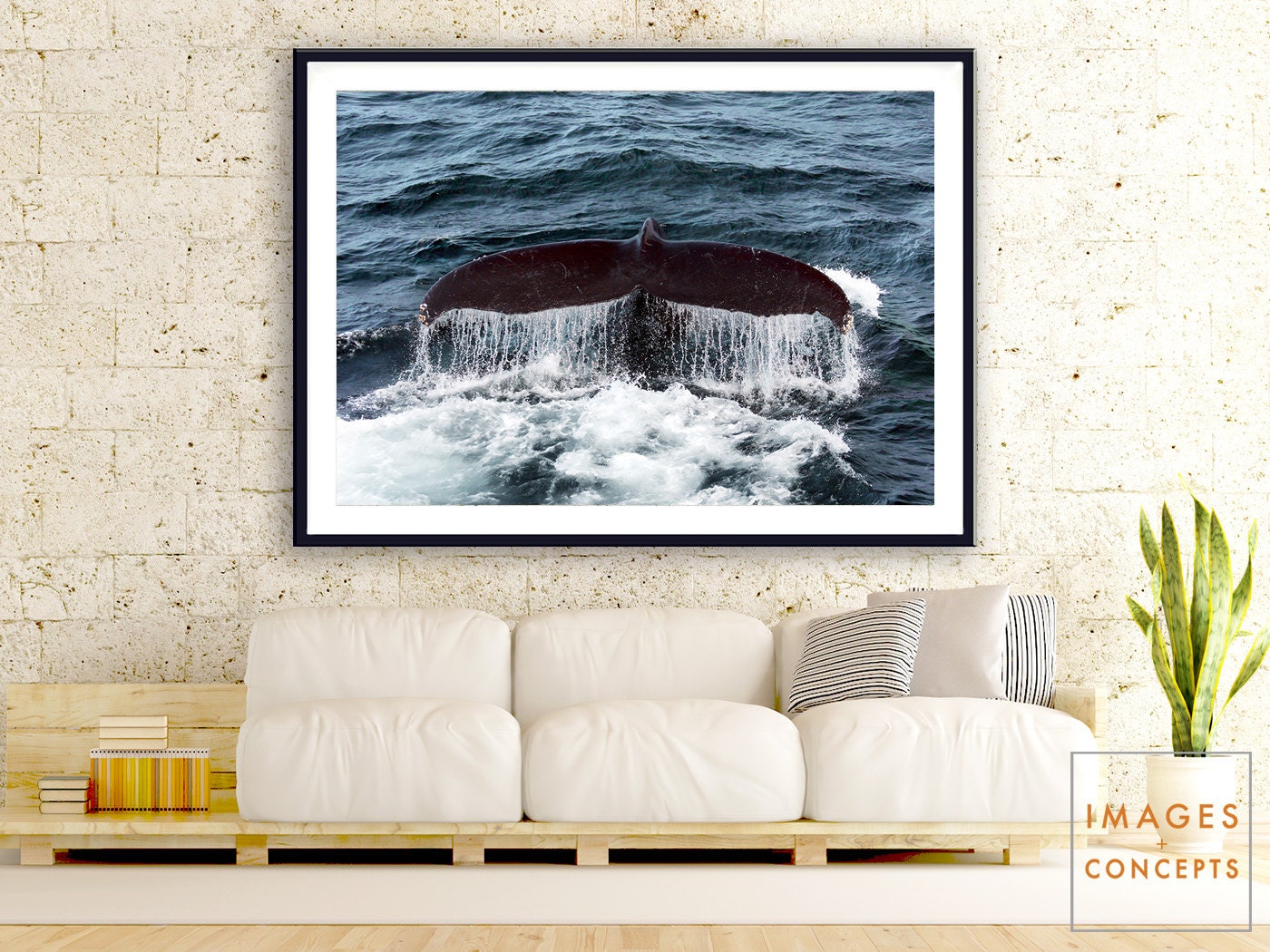 Whale Print Whale Wall Art Nature Print Ocean - Etsy