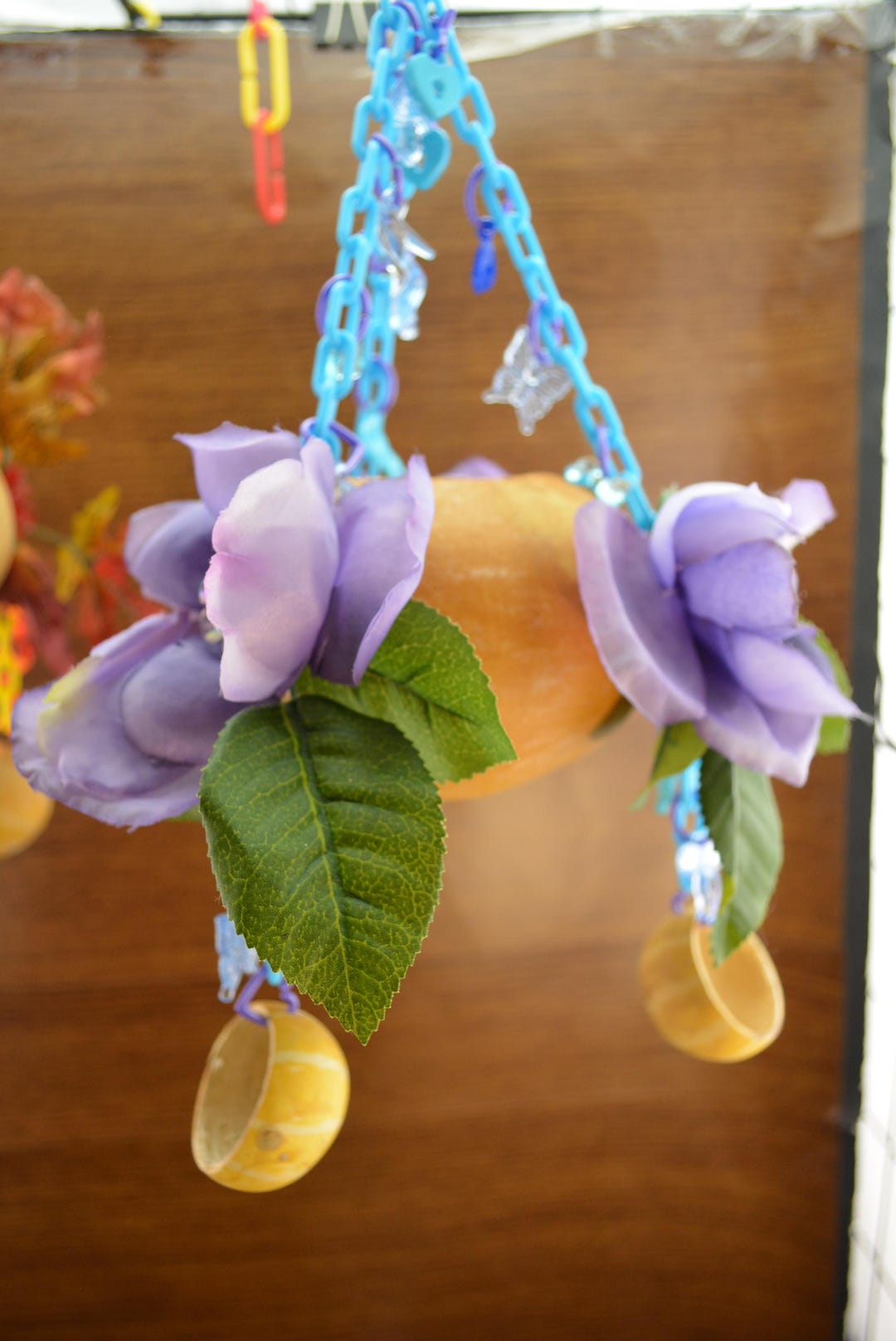 Hanging Gourd Toy#889: Foraging Fun for Sugar Gliders - Etsy