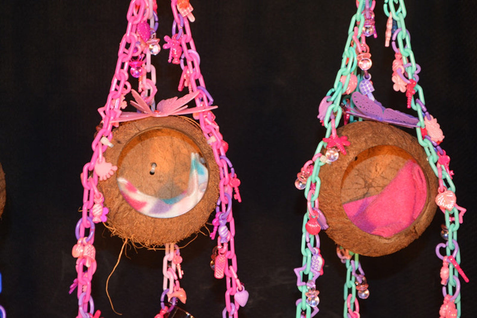 Coconut Huts Coconut Swing 144 Foraging Bird & Sugar Glider - Etsy