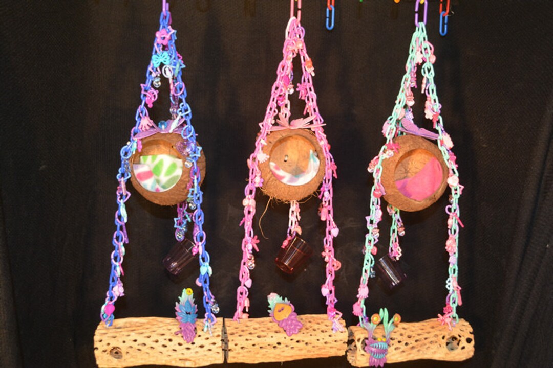 Coconut Huts, Coconut Swing #144, Foraging Bird & Sugar Glider Toy ...