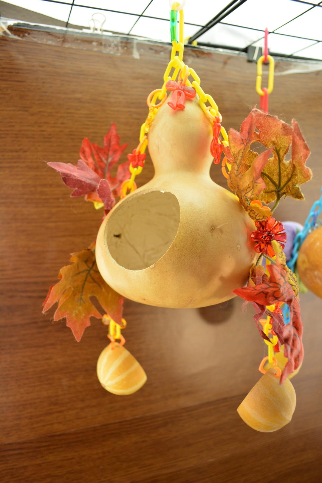 Hanging Gourd Toy#888: Foraging Fun for Sugar Gliders & Small Pets ...
