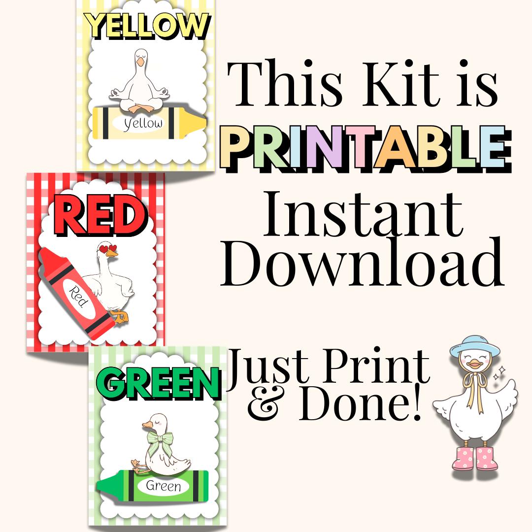 Color Posters Printable Classroom Color Posters for Preschool or ...