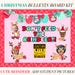 Christmas Bulletin Board Kit, Classroom Decor, Pink Christmas, Disco ...