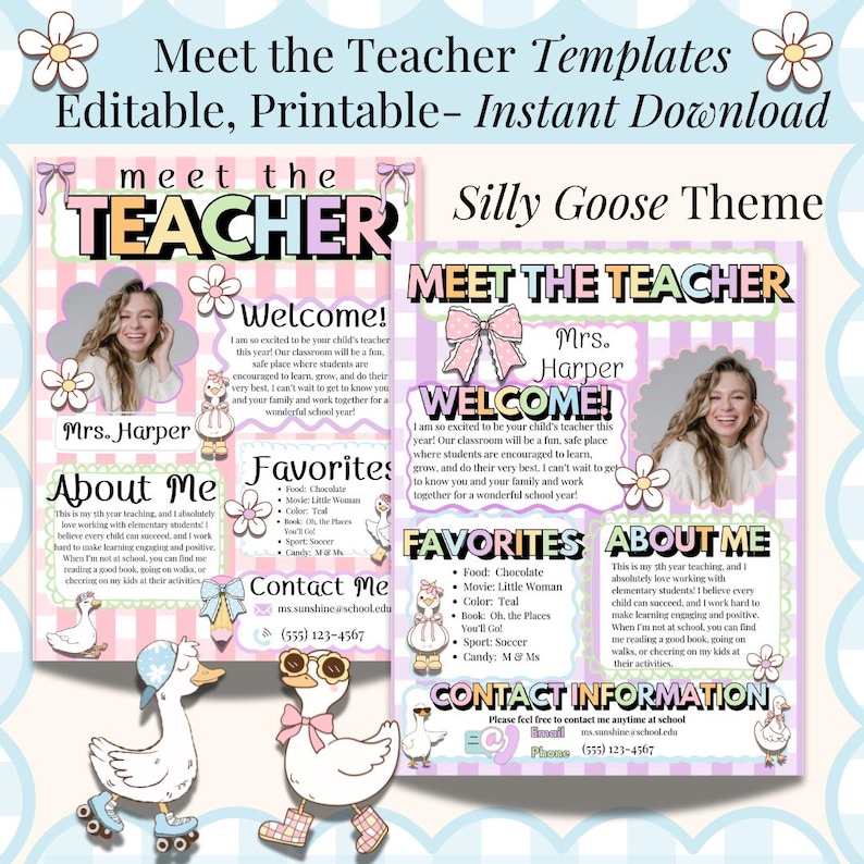 Meet the Teacher Template Editable Silly Goose Theme Meet the Teacher ...