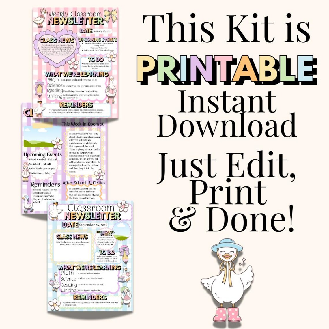 Classroom Newsletter Template Silly Goose Theme Editable Classroom ...