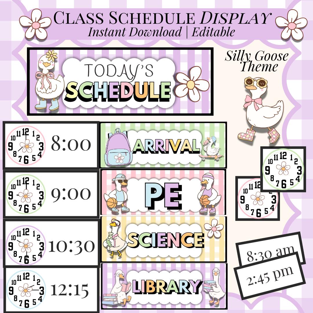 Editable Classroom Schedule Cards for Class Schedule Display Silly ...