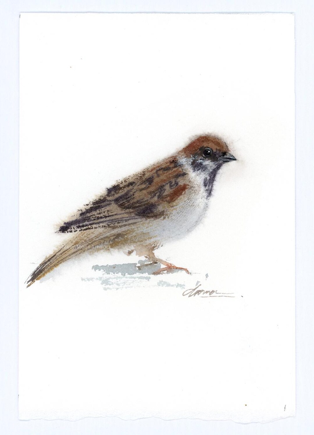 Original Bird Watercolor Painting, Hand-painted Sparrow Art, 4x6 Inches ...