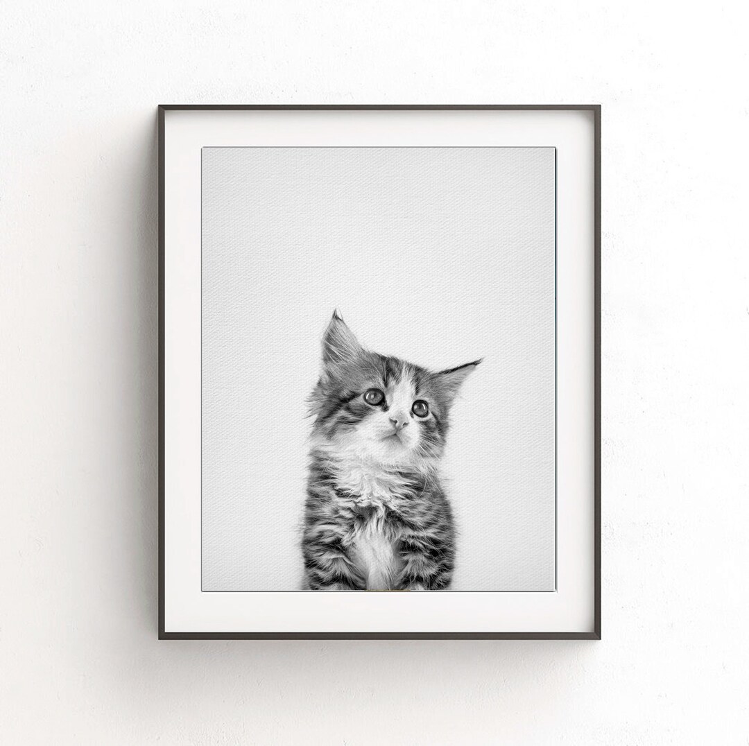 Cat Print Modern Minimal Black and White Nursery Print Kitten Instant ...