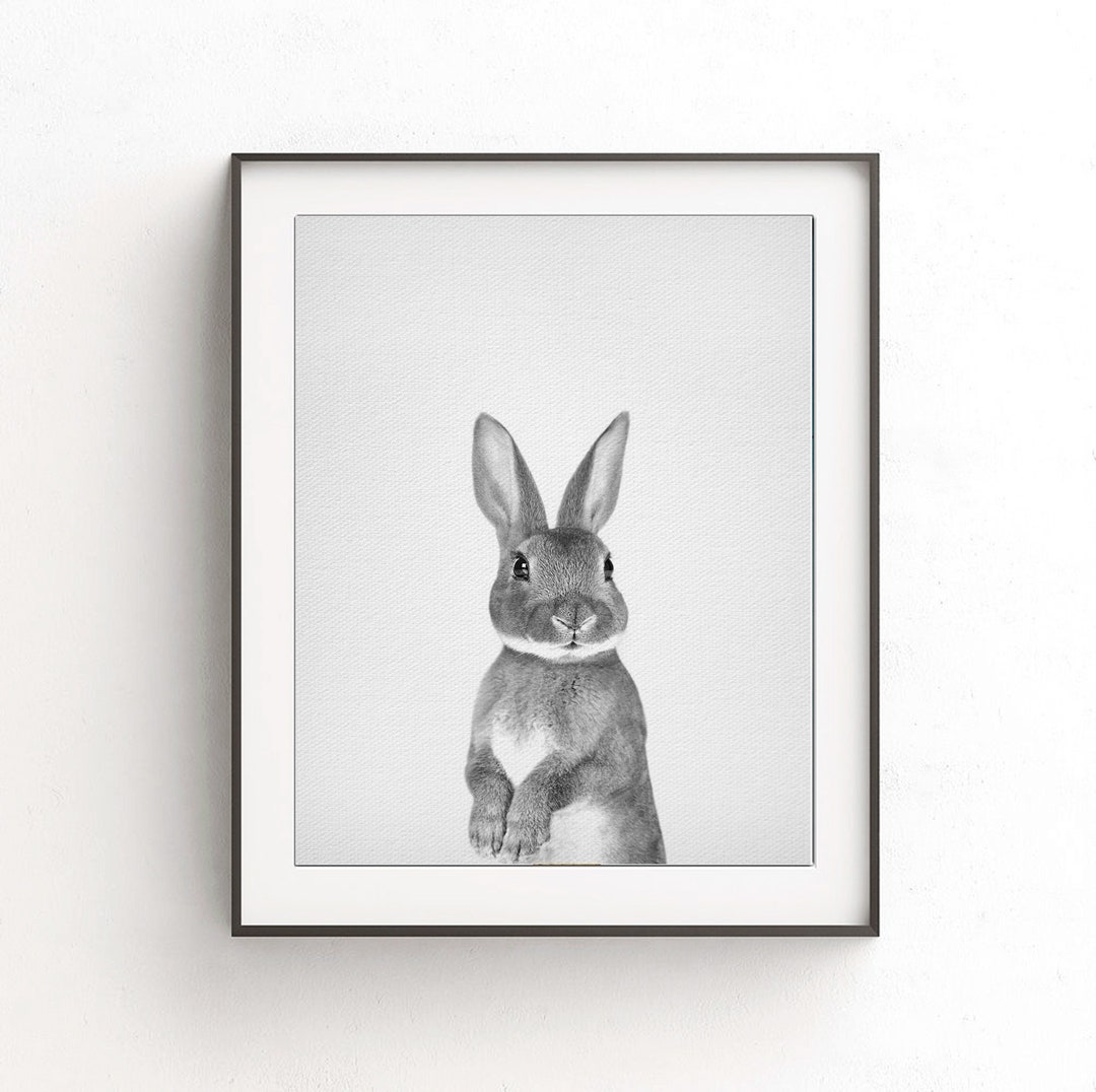 Rabbit Print Wall Art Black and White Photo Bunny Print Digital ...