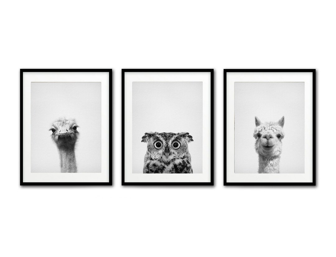 Set of 3 Prints Digital Download Animal Prints Nursery Wall Art Ostrich ...