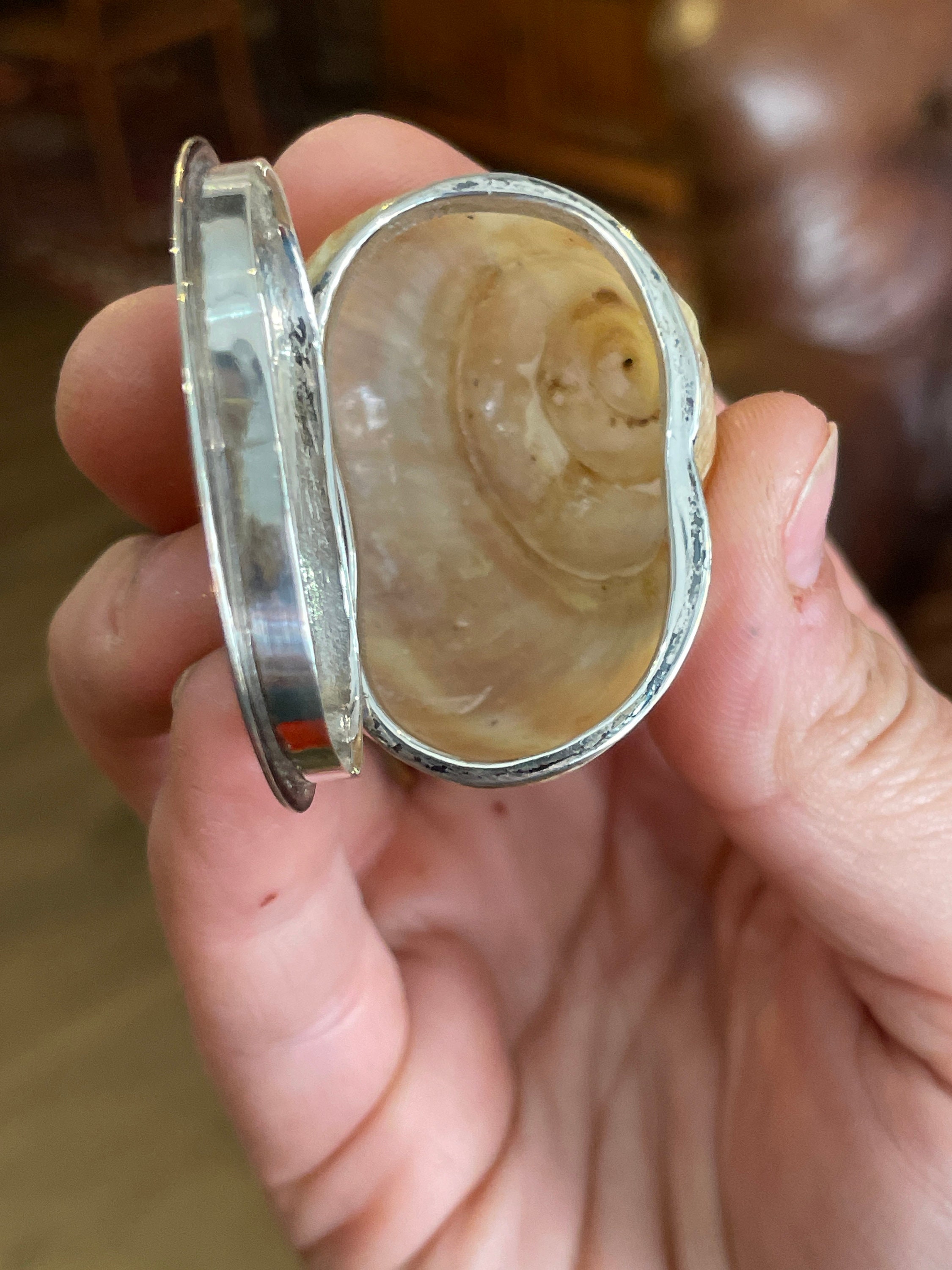 RARE 19th Century SNAIL Shell & Sterling Snuff Box - Etsy
