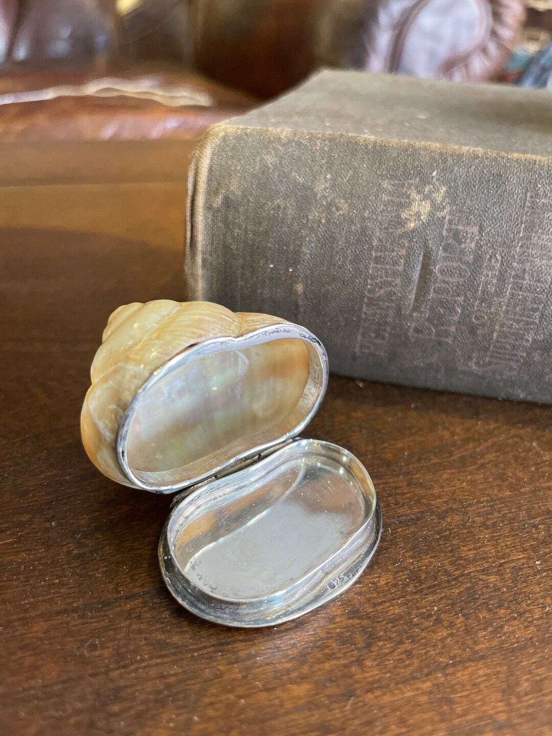 RARE 19th Century SNAIL Shell & Sterling Snuff Box - Etsy