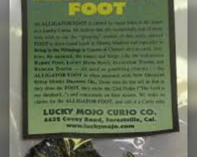 Gator Paws- Hoodoo Alligator Foot to Enhance Your Good Luck! - Etsy