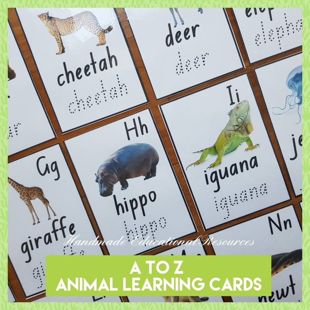 PRINTABLE/DIGITAL A to Z of Animals Flash Cards - Etsy