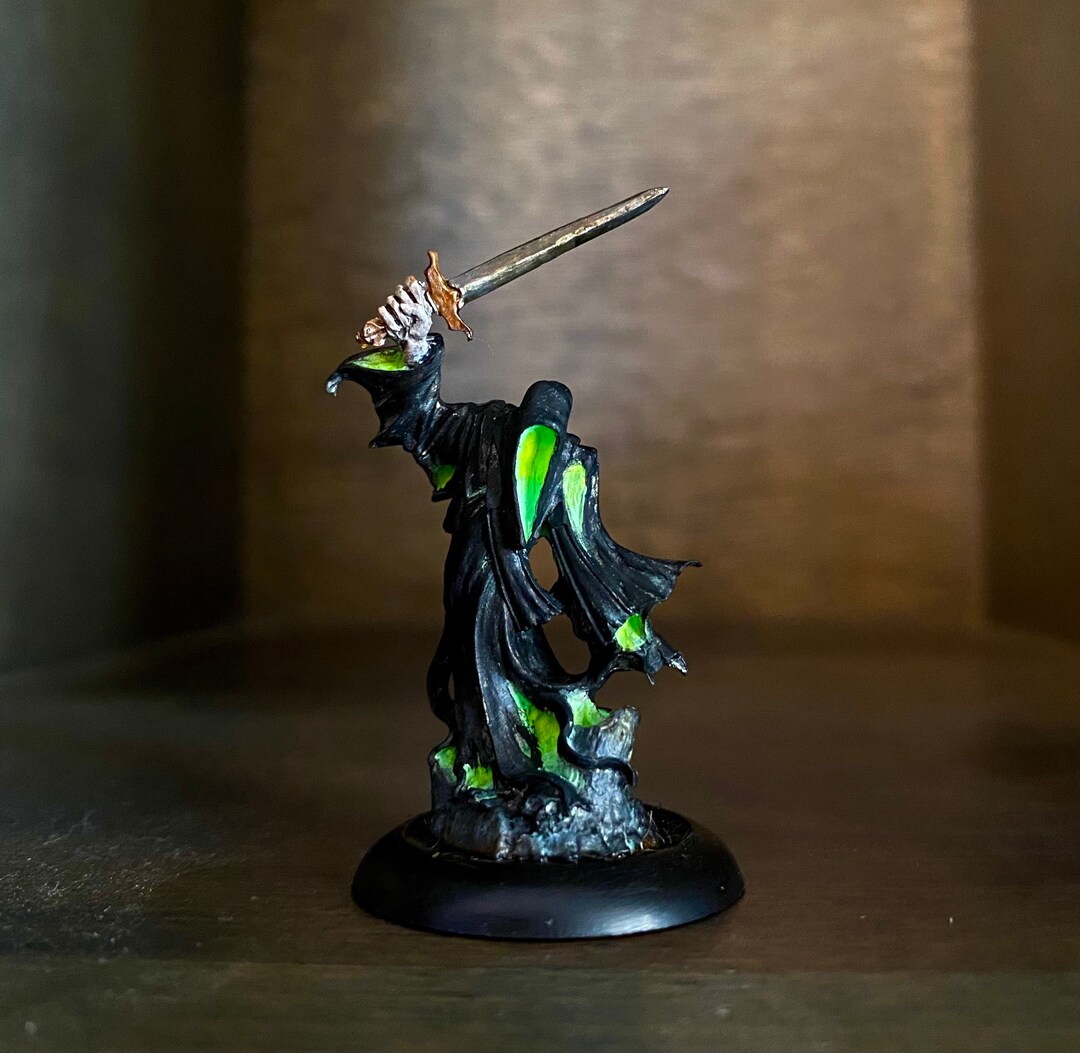Painted Wraith Reaper Miniatures Dungeon Dwellers: Cairn - Etsy