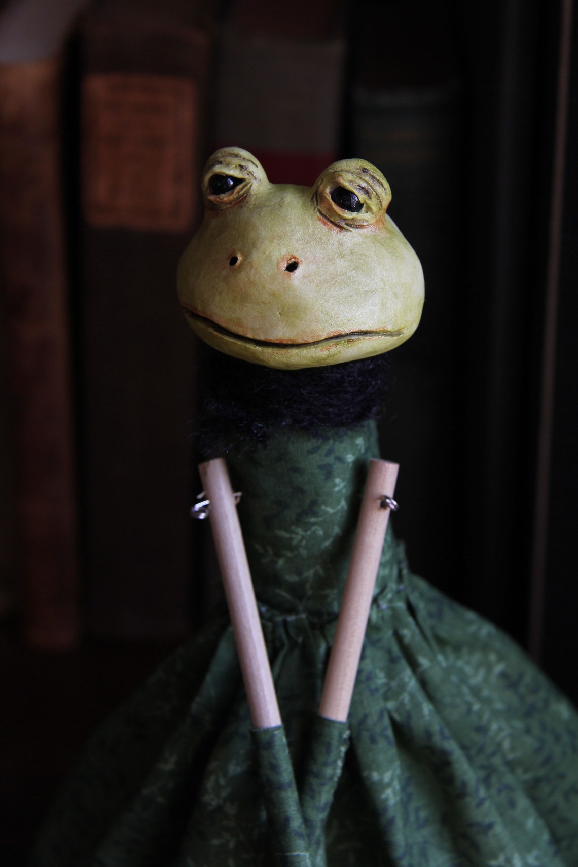 Lady Lidia the Frog Witch - Etsy