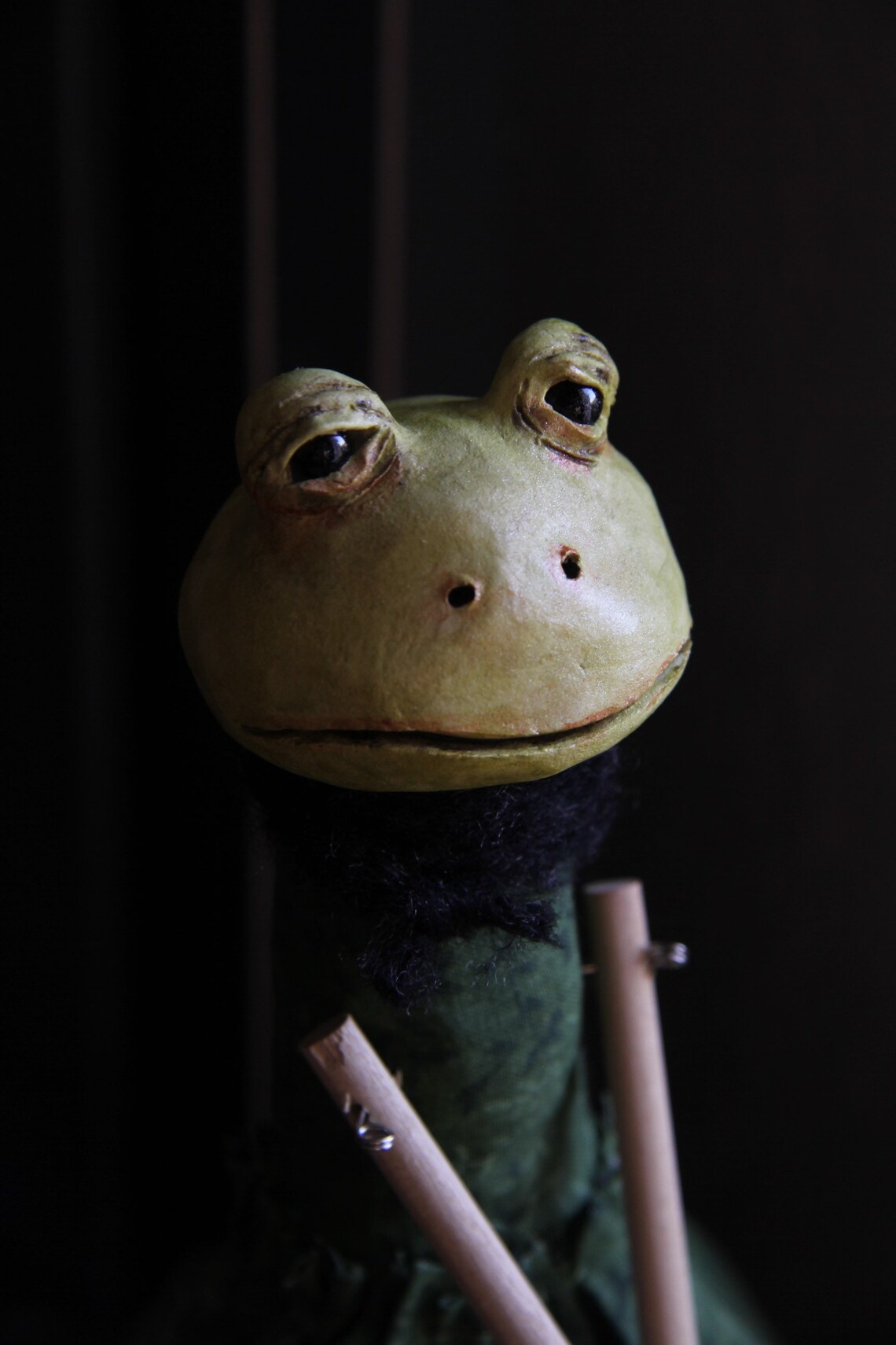 Lady Lidia the Frog Witch - Etsy