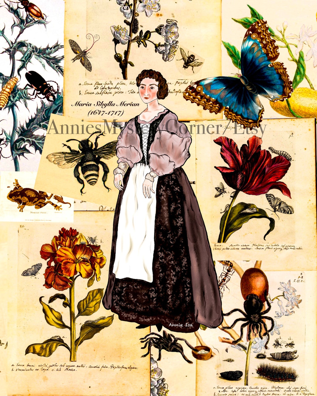 Maria Merian Art Print, Insect and Bug Study Art Print, Woman Scientist ...