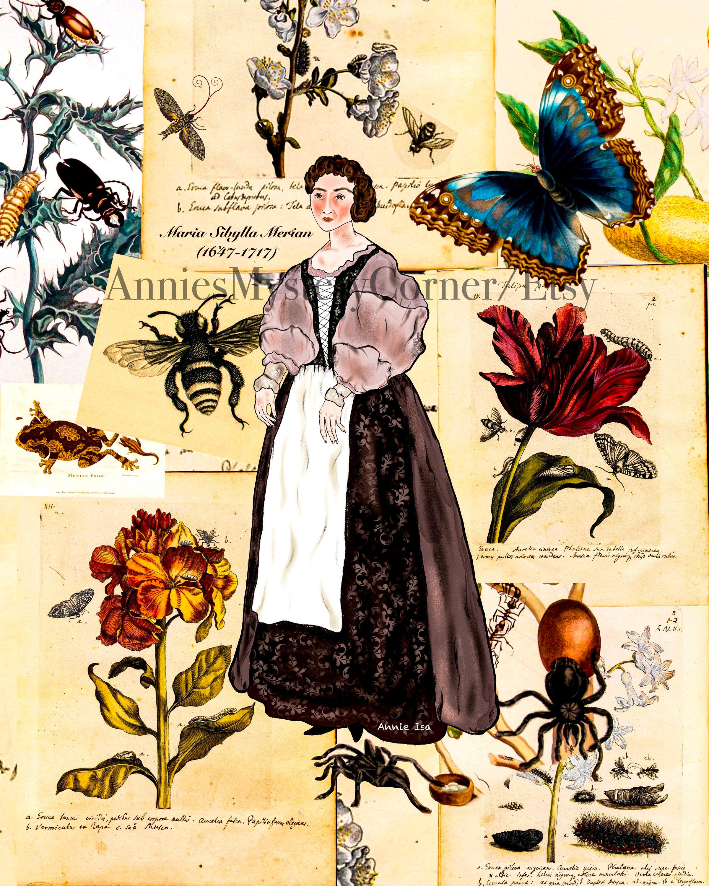 Maria Merian Art Print, Insect and Bug Study Art Print, Woman Scientist ...