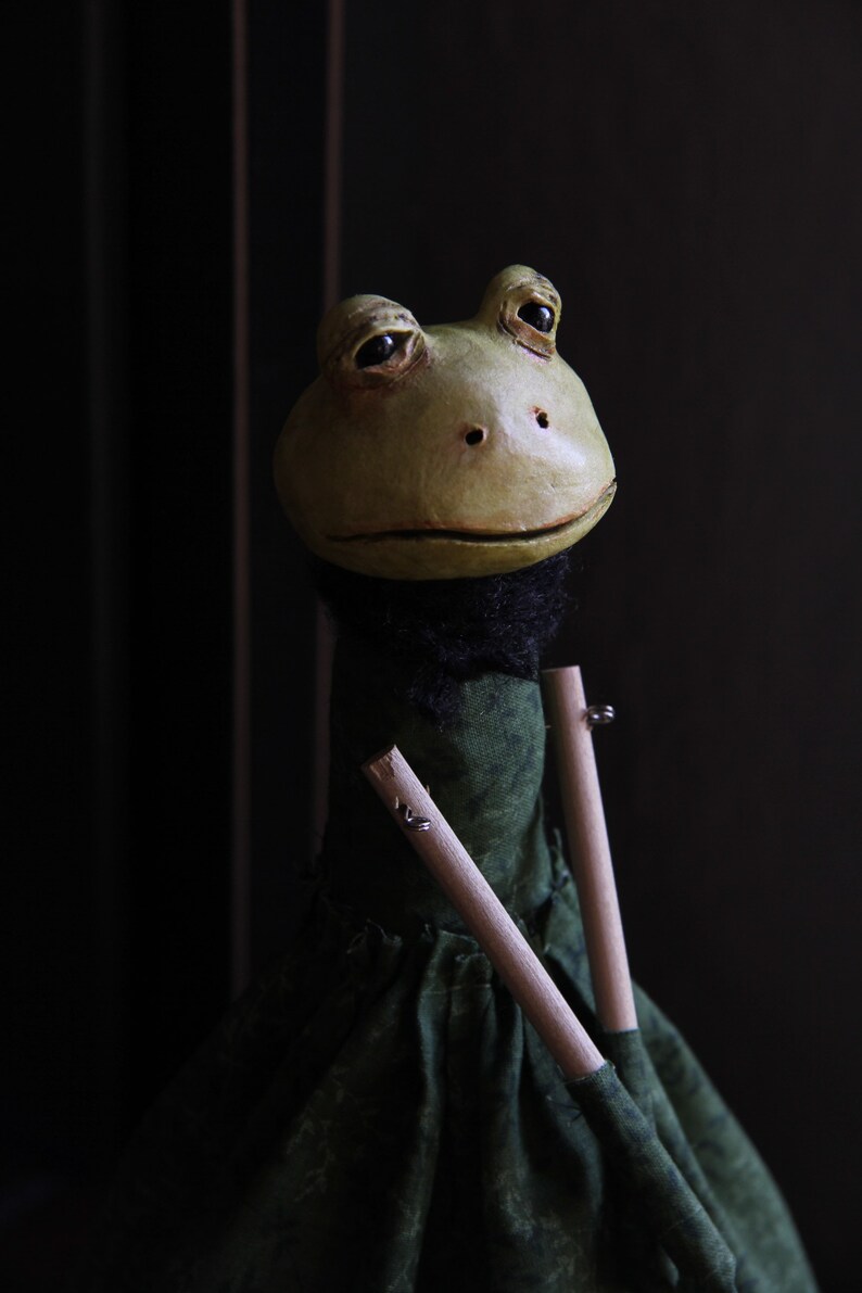 Lady Lidia the Frog Witch | Etsy